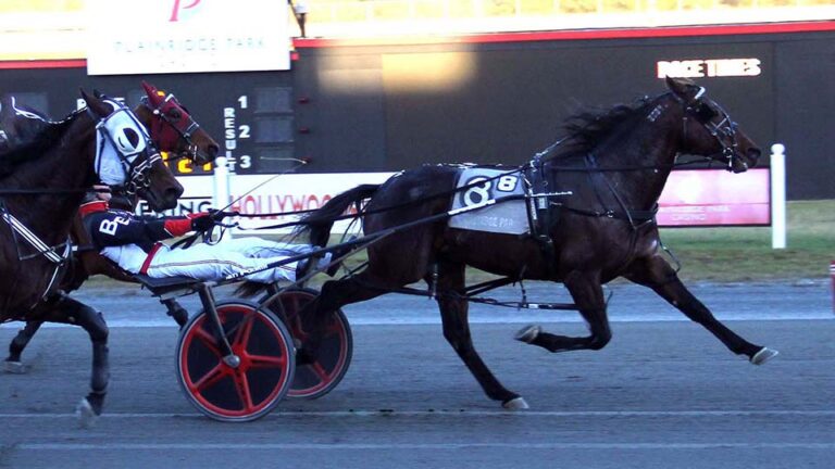 Beckwith stars as Plainridge Park closes out meet – U.S. Trotting News