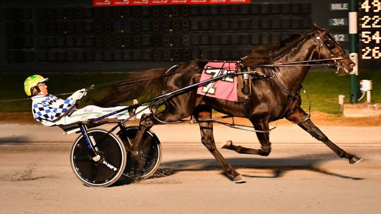 Confederate coasts, crushes in Matron – U.S. Trotting News