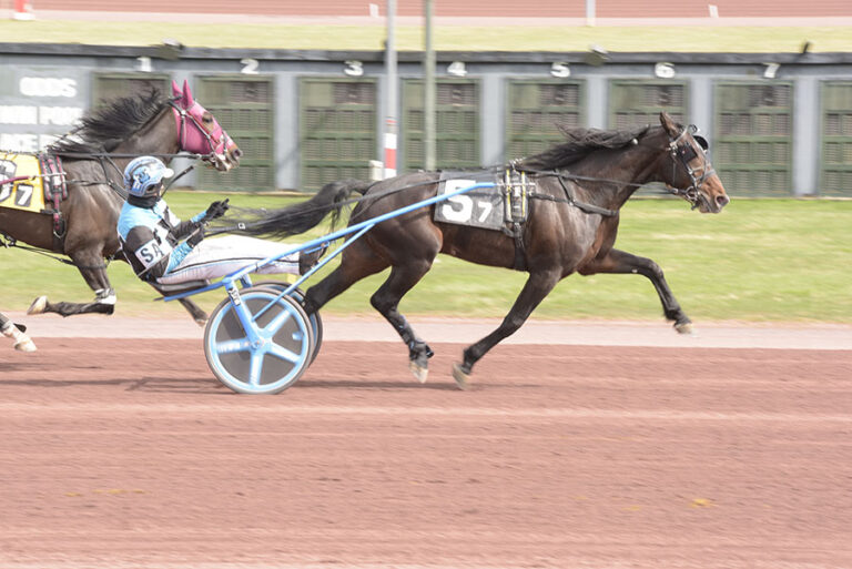 Mickey Burke Jr. trains both feature winners at Pocono – U.S. Trotting News