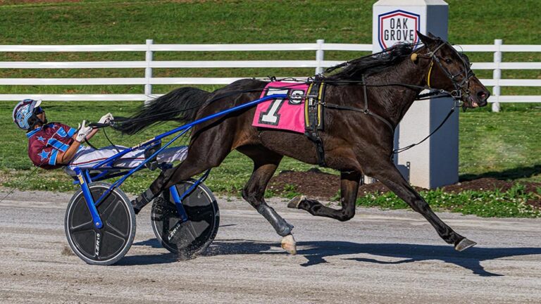 Oh Look Magic repeats in Oak Grove blowout – U.S. Trotting News