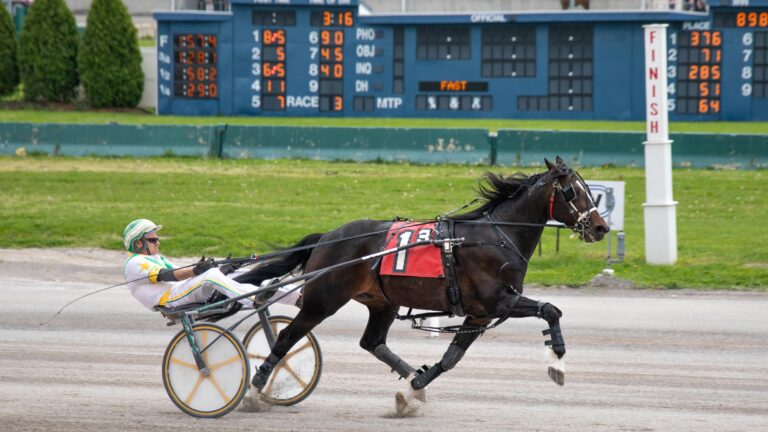 I Got The Looks is a handsome winner at Buffalo – U.S. Trotting News