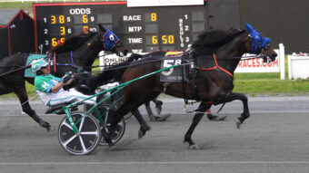 Sidd Finch rallies to Plainridge Open victory – U.S. Trotting News