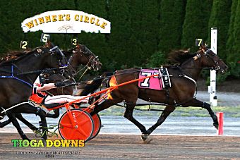 The Stunning Nun N wins feature at Tioga – U.S. Trotting News