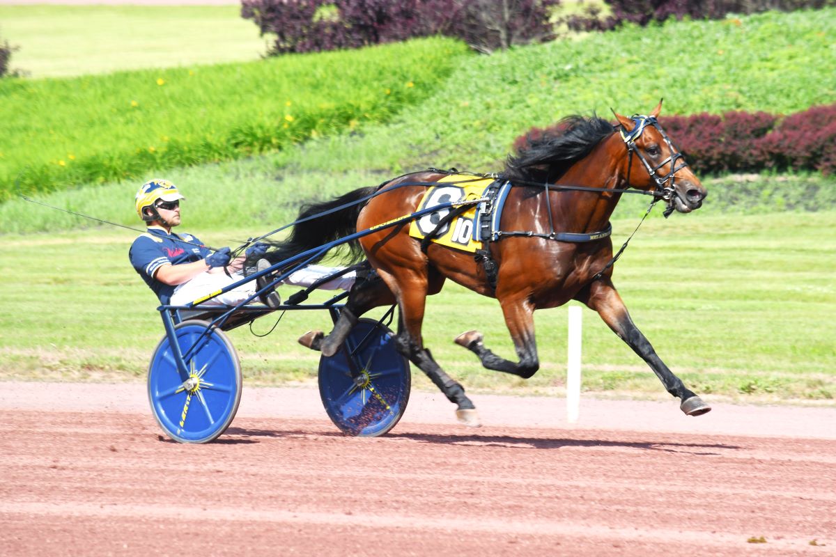 French Kronos easiest of winners at Pocono – U.S. Trotting News