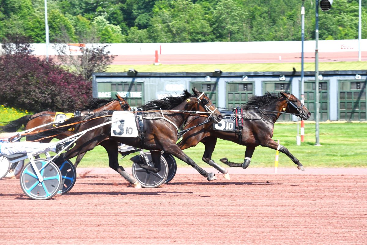 Speedy day for Pocono trotters topped by Marg In Charge – U.S. Trotting ...