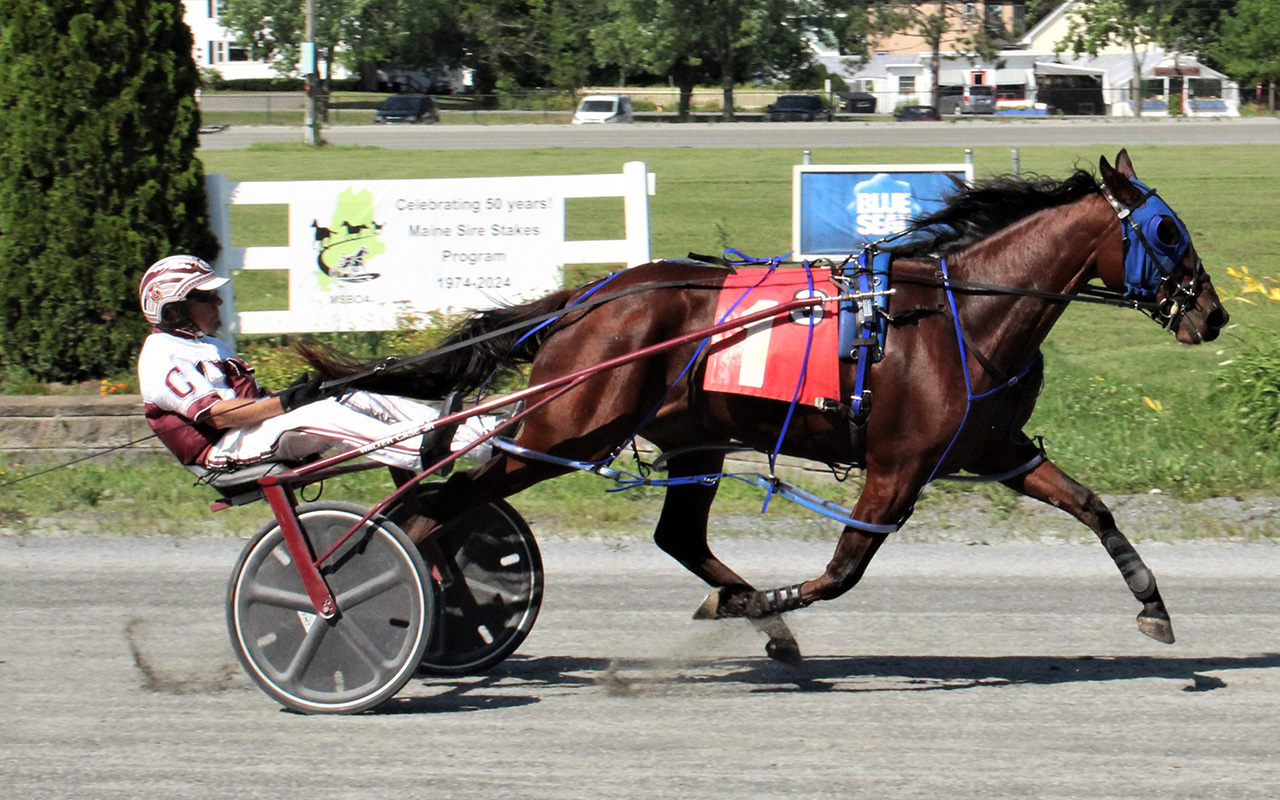Freshmen Colt Pacers spar at Bangor – U.S. Trotting News