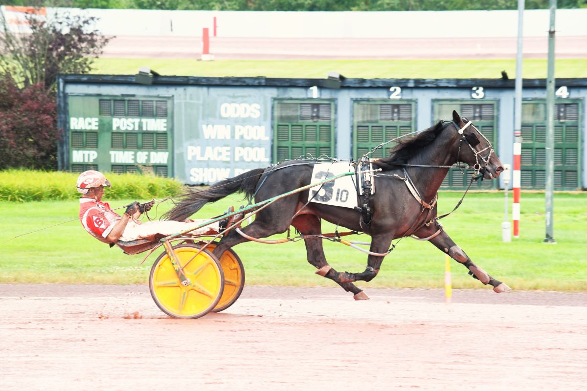 Boston Rocks first at Pocono Tuesday – U.S. Trotting News