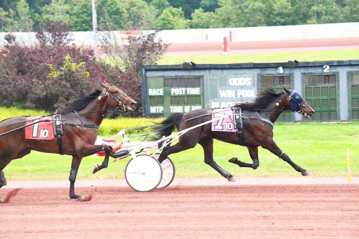 Cantab Hall, “George Nap” in Pocono sweep – U.S. Trotting News