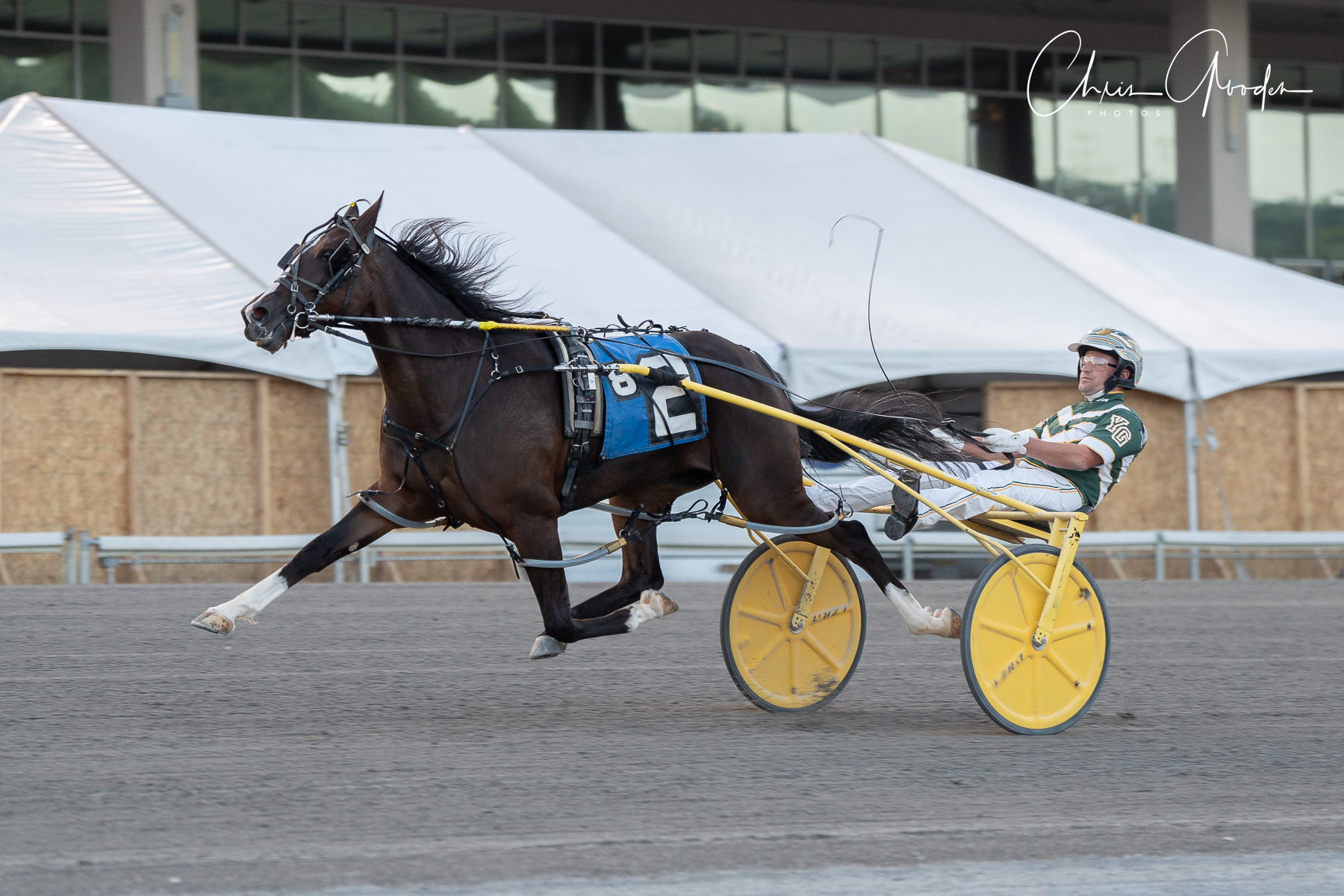 Rose continues to blossom at Red Mile – U.S. Trotting News