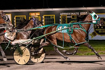 Villiam, Power And Grace both stellar in Batavia Opens – U.S. Trotting News