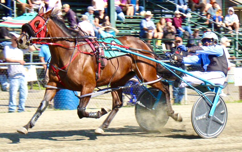 Kevin Switzer, Jr wins five at Windsor Fair – U.S. Trotting News