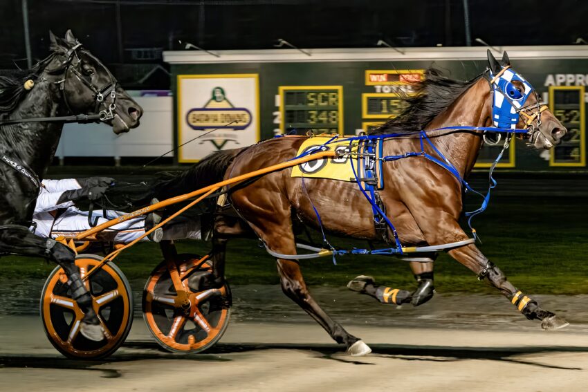 Livonjaxsandqueens, El Toro Loco win Batavia Opens – U.S. Trotting News