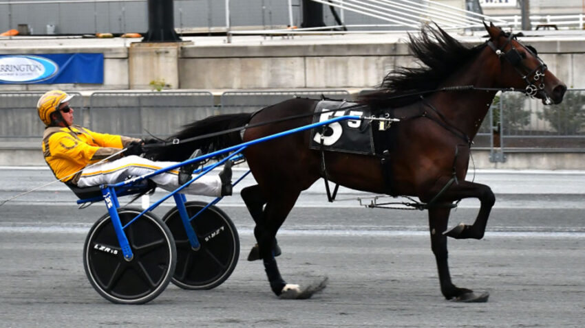 Harrington track records fall Wednesday – U.S. Trotting News