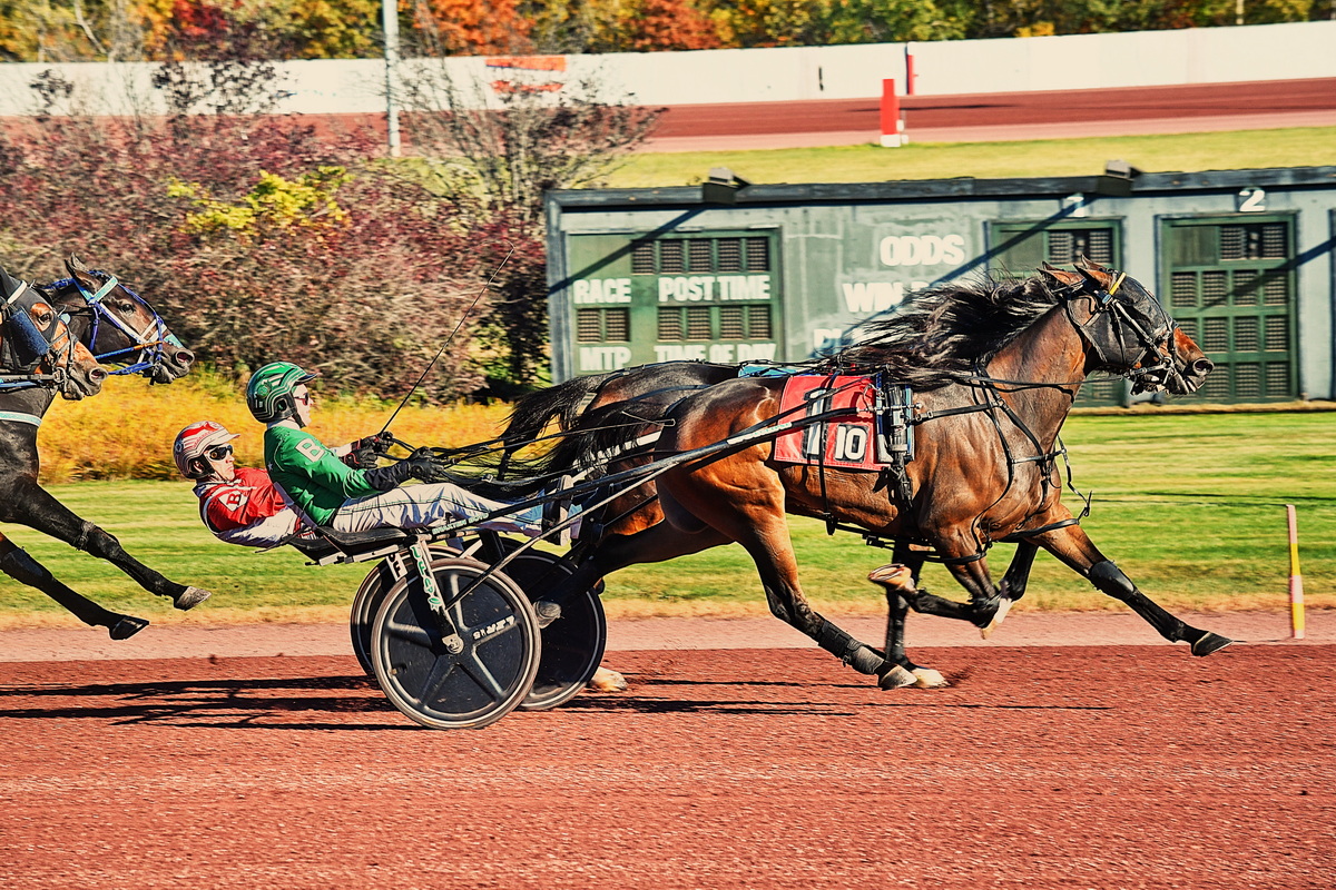 Papa Doc feature winner on swift day at Pocono – U.S. Trotting News