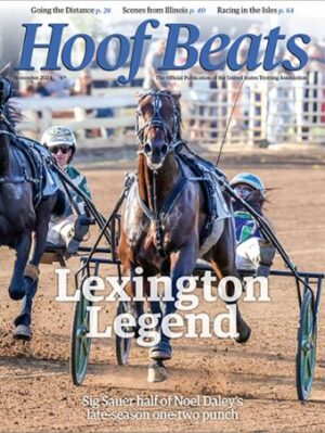 November Hoof Beats features Ireland’s Vincent Delaney Memorial – U.S ...