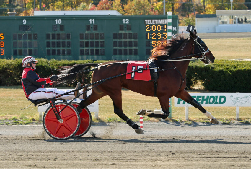 Slendorn, Sheridan score in AHDC trots at Freehold – U.S. Trotting News