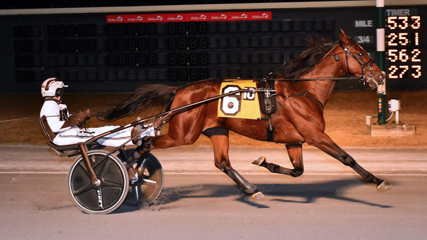 Keg Stand victorious at Bally’s Dover – U.S. Trotting News