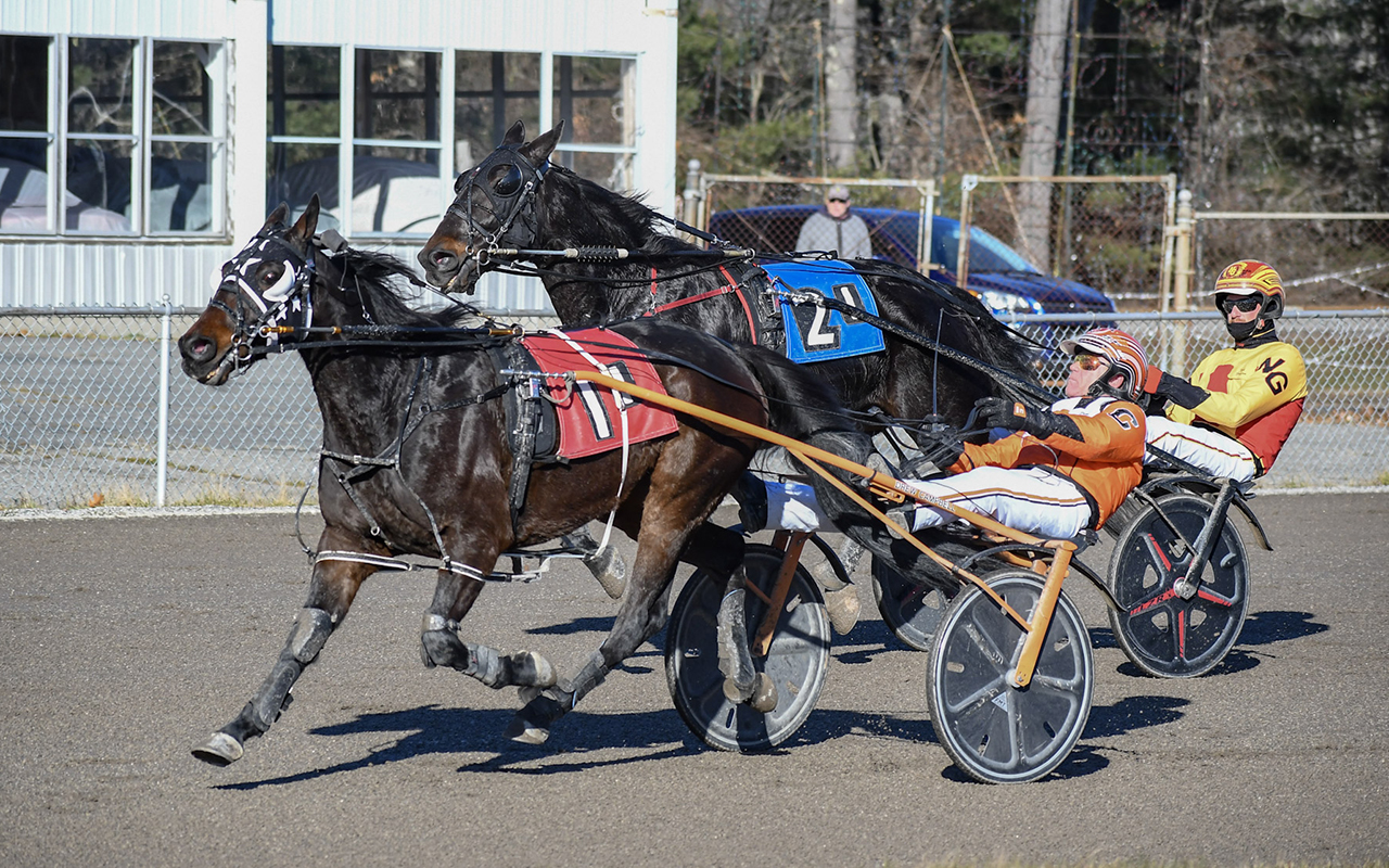 ‘Little Mac’ attacks, Sowers slams at Cumberland – U.S. Trotting News