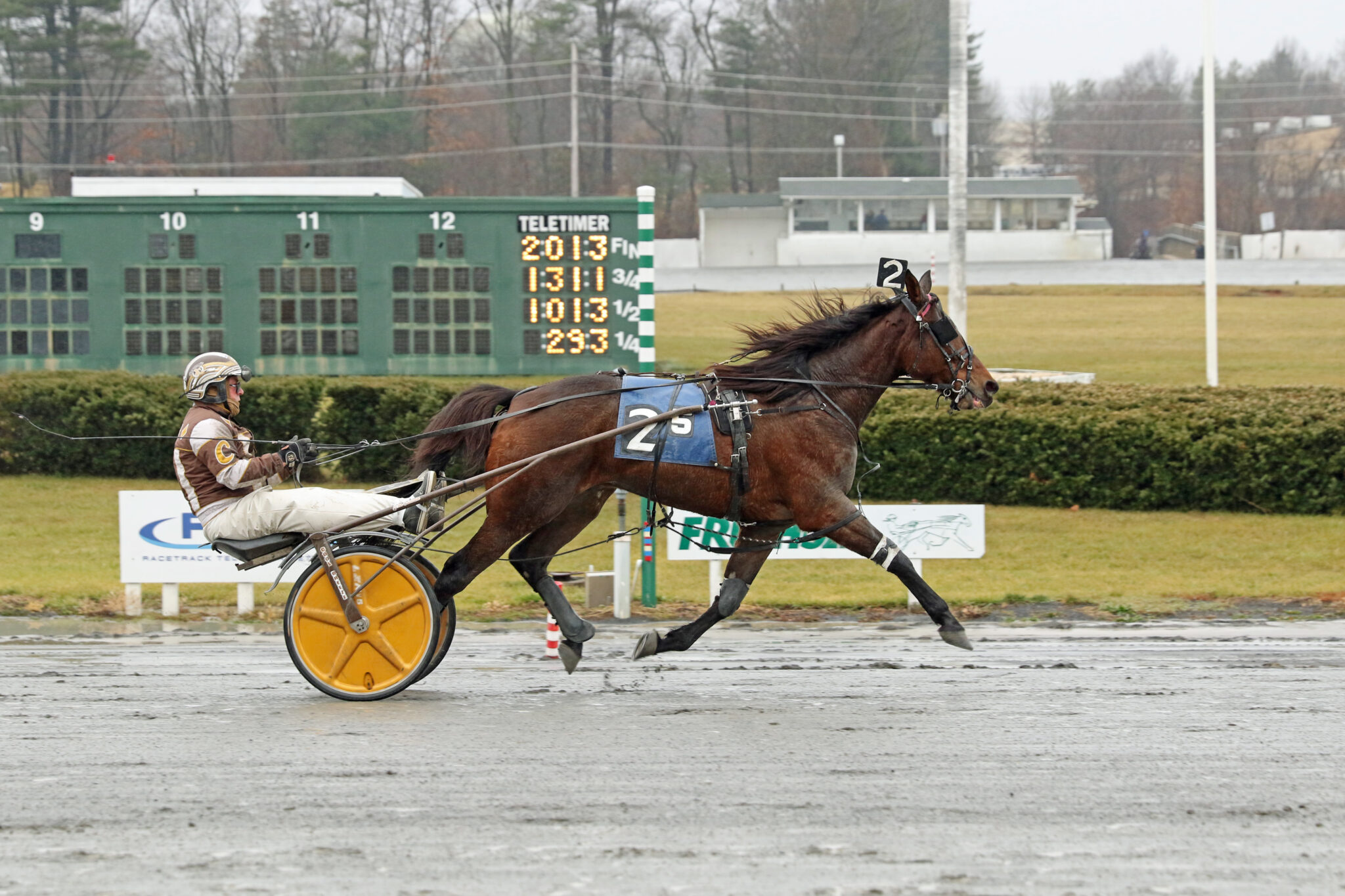 Calabrese coasts in AHDC Final at Freehold Raceway – U.S. Trotting News