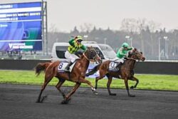 Joumba de Guez wins world’s largest under-saddle trotting race – U.S ...