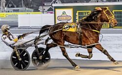 Steady improvement for Maria Rice’s Melanion – U.S. Trotting News