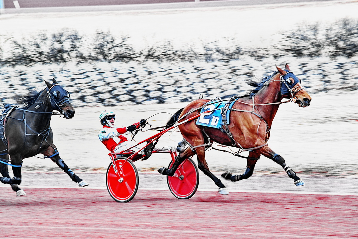 Striking Impact wins Game Claims Series Final – U.S. Trotting News
