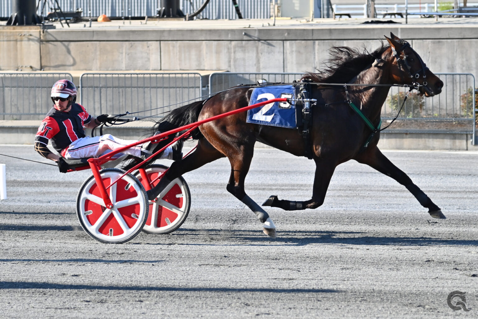 Vlahos upsets in Harrington Open – U.S. Trotting News