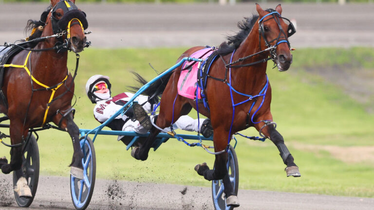 Prince Hal Hanover, Bourbon County take ‘Beach’ splits – U.S. Trotting News