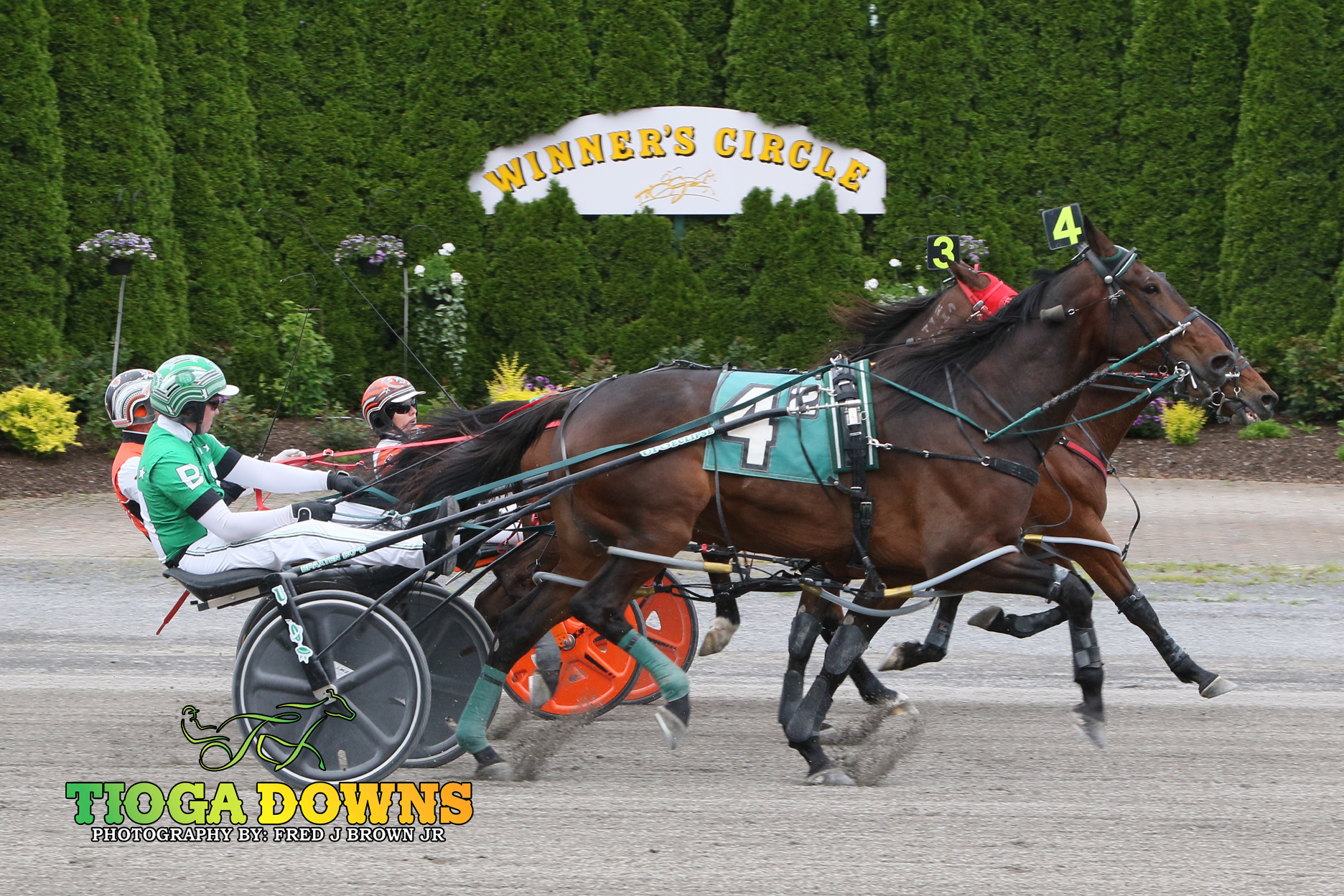 Blank Stare captures feature at Tioga – U.S. Trotting News