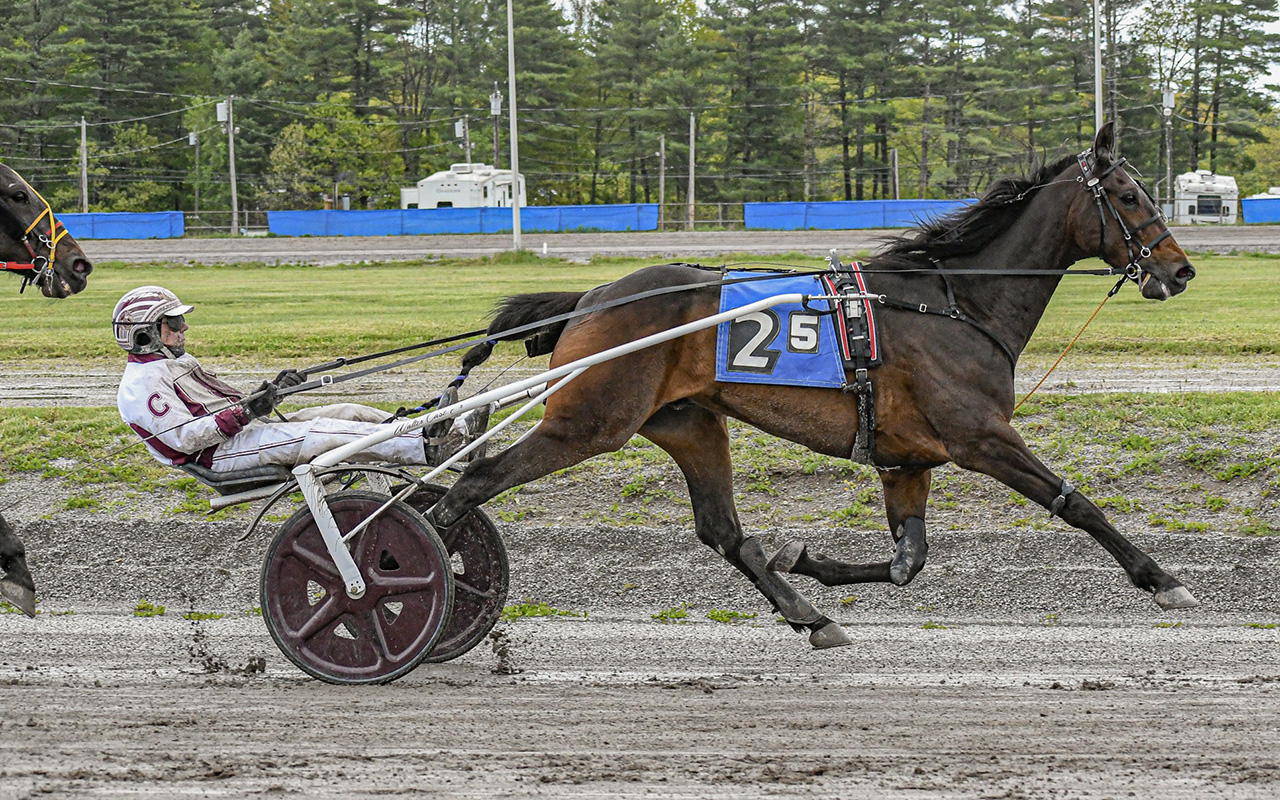 Case and the ‘Emperor’ reign supreme at Cumberland – U.S. Trotting News