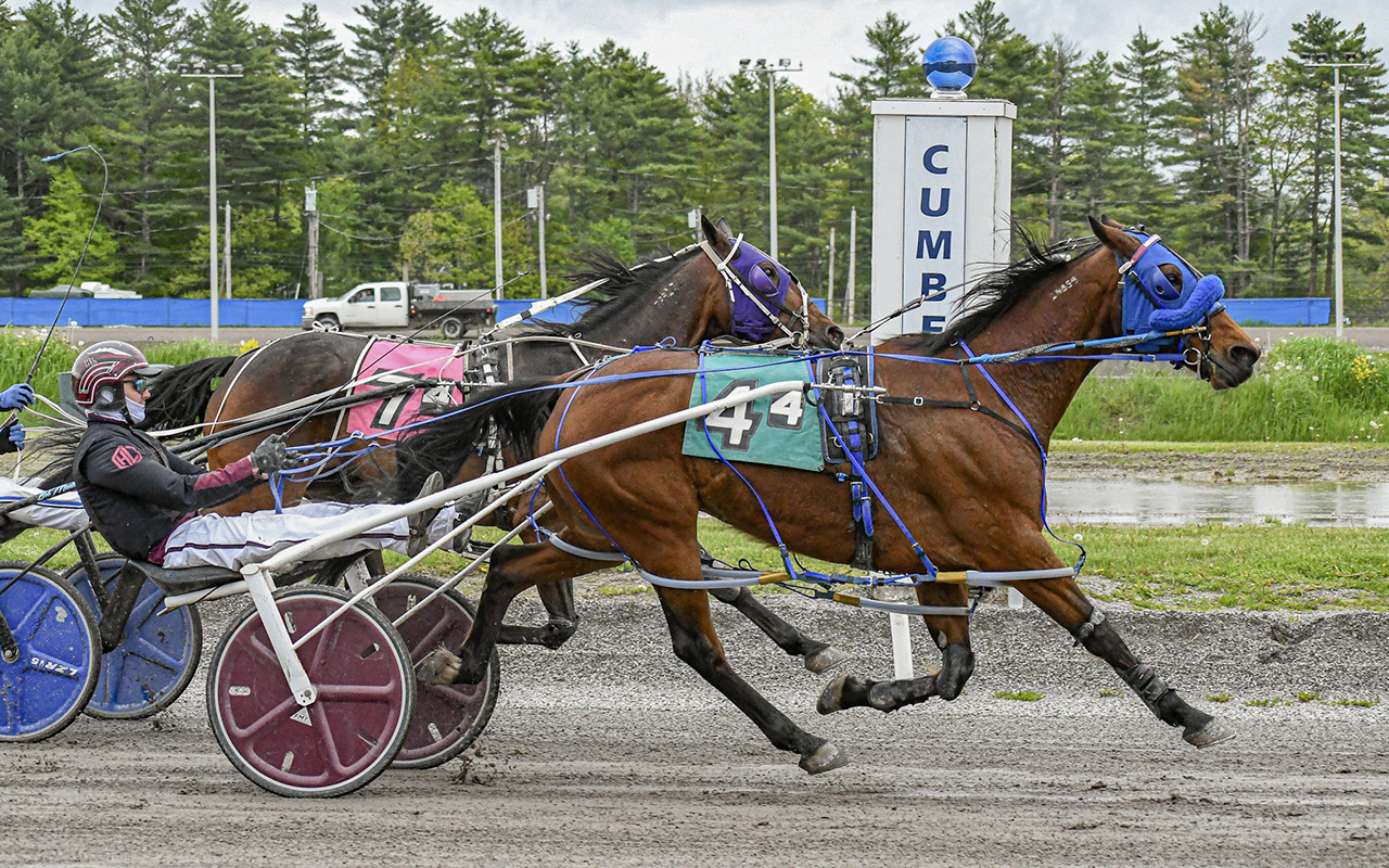 Lofthus stays on top at Cumberland – U.S. Trotting News