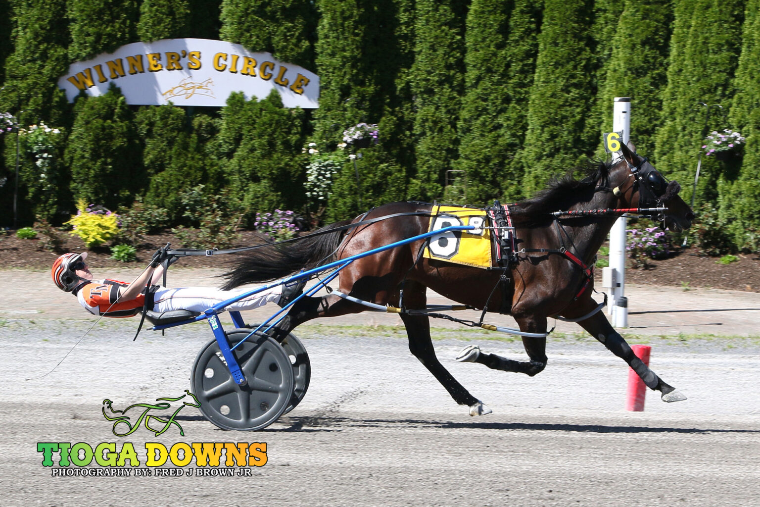 Hunting Zone wins feature at Tioga – U.S. Trotting News