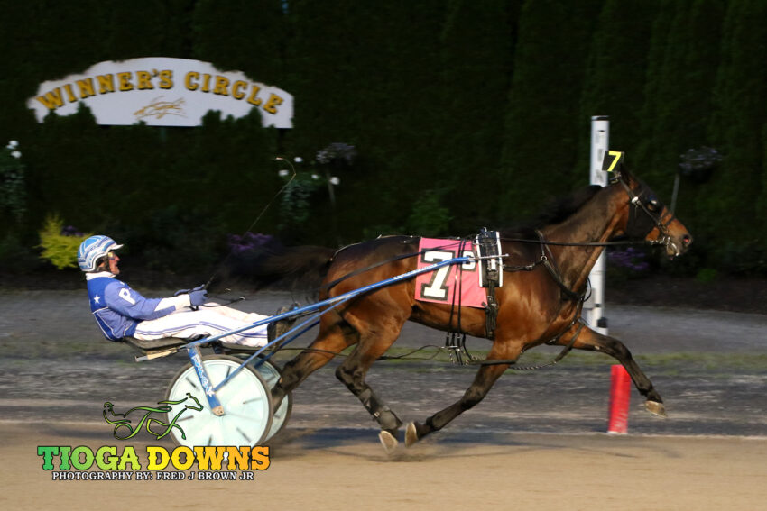 Purple Lord grabs feature at Tioga – U.S. Trotting News