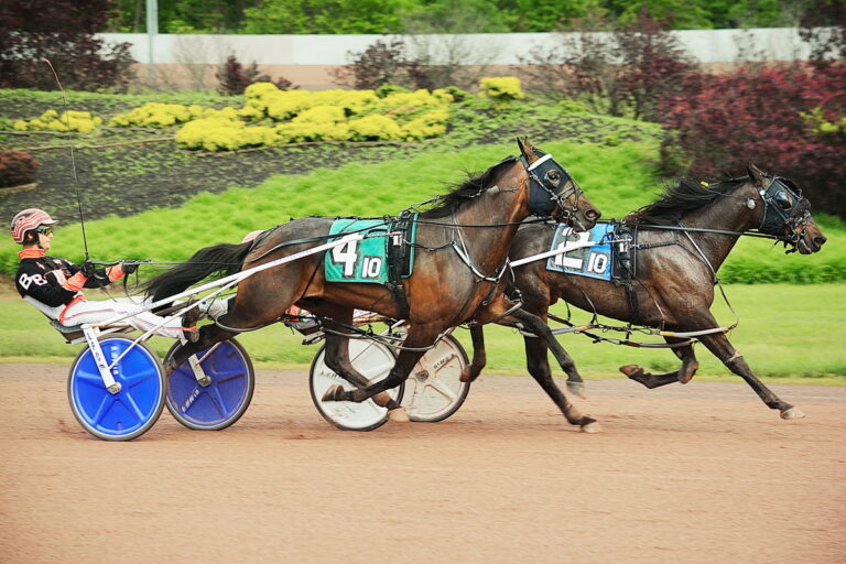 “George Nap” wins six at Pocono – U.S. Trotting News