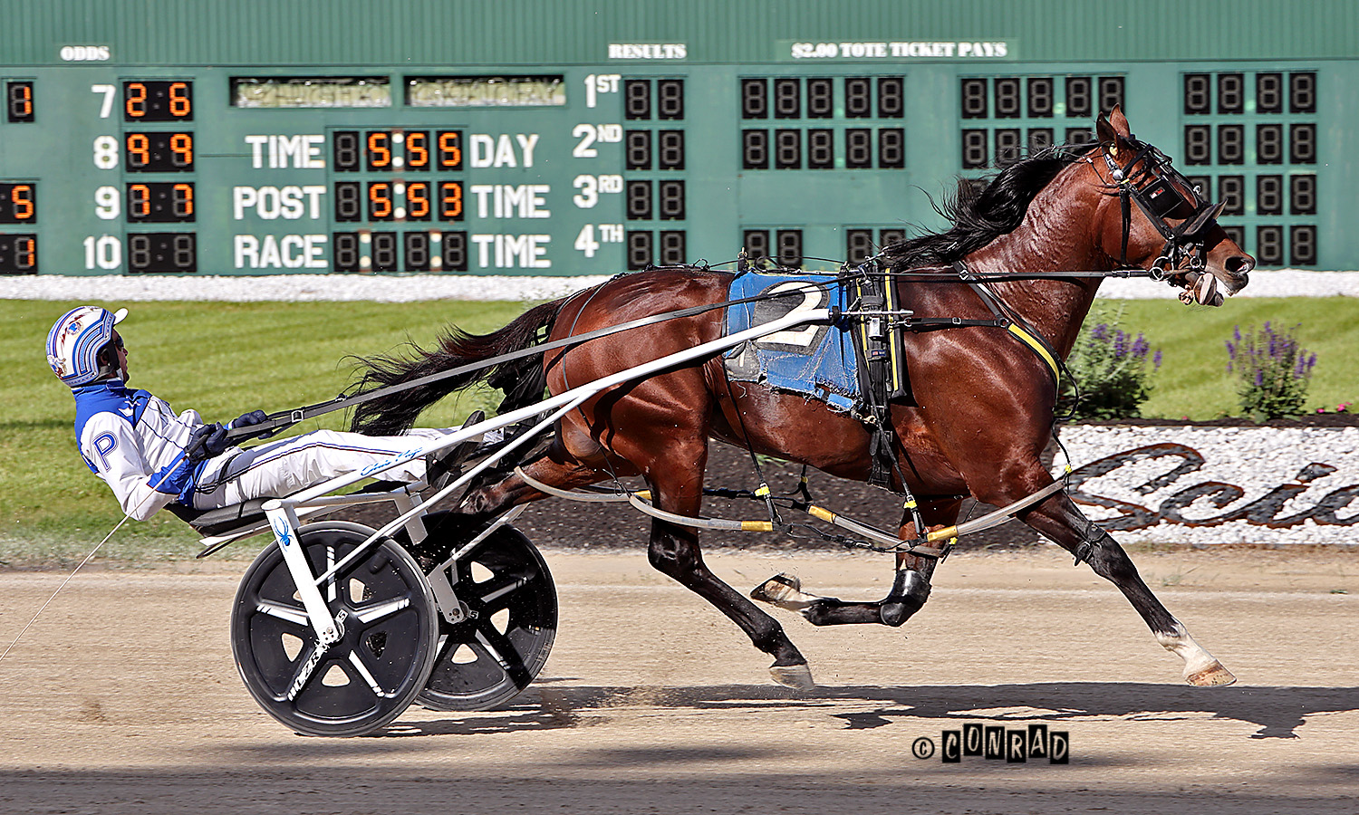 Sippinonsearoc sizzles at Scioto – U.S. Trotting News