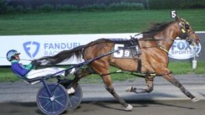 Maximus Miki overwhelms field in Big M feature – U.S. Trotting News