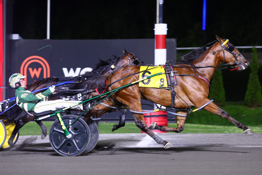Brue Hanover strikes gold in Mohawk Gold Cup – U.S. Trotting News
