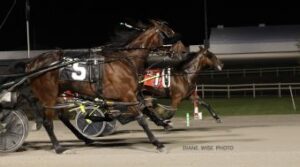 Go Jim Dandy, Seaside Star dead heat highlights BSS leg at Northfield ...