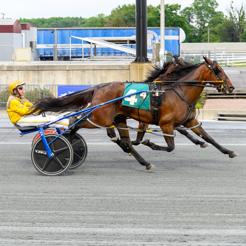 Givens trainees shine in DSBF filly divisions – U.S. Trotting News