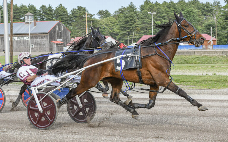 Case captures natural hat trick at Cumberland – U.S. Trotting News