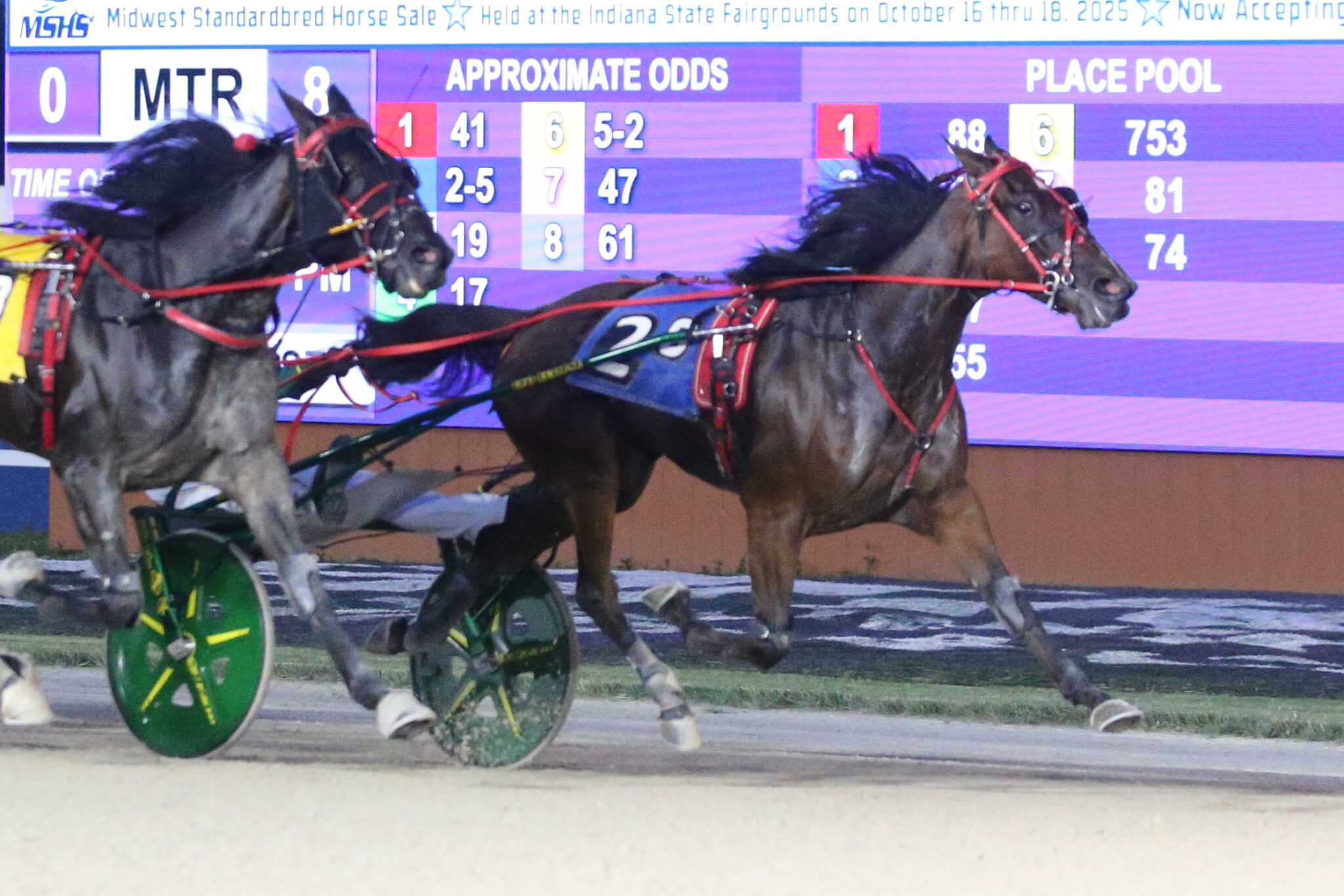 Miracle Maven tops Graber Jr. trifecta in INSS at Hoosier – U.S ...