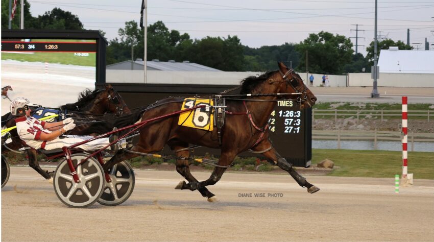 McCown doubles up in Buckeye Stallion Series – U.S. Trotting News