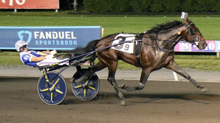 Melander enters a powerful pair in Spirit of Massachusetts Trot – U.S ...
