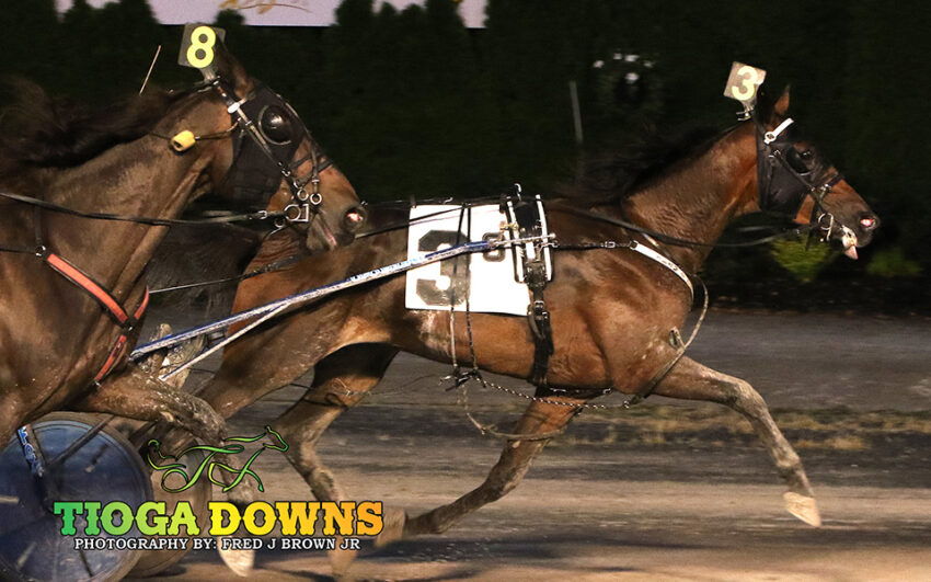 Purple Lord takes Tioga feature – U.S. Trotting News