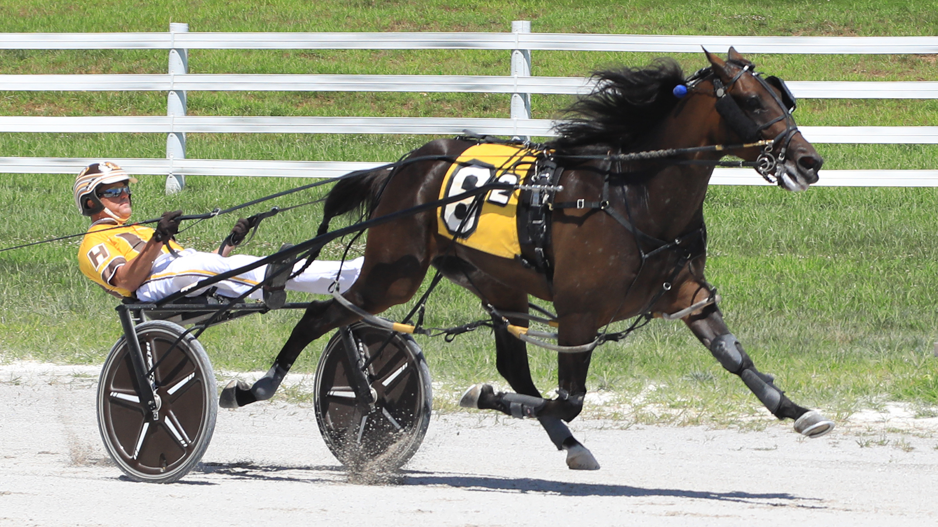 Dale Yeah darts to victory in Oak Grove Open – U.S. Trotting News