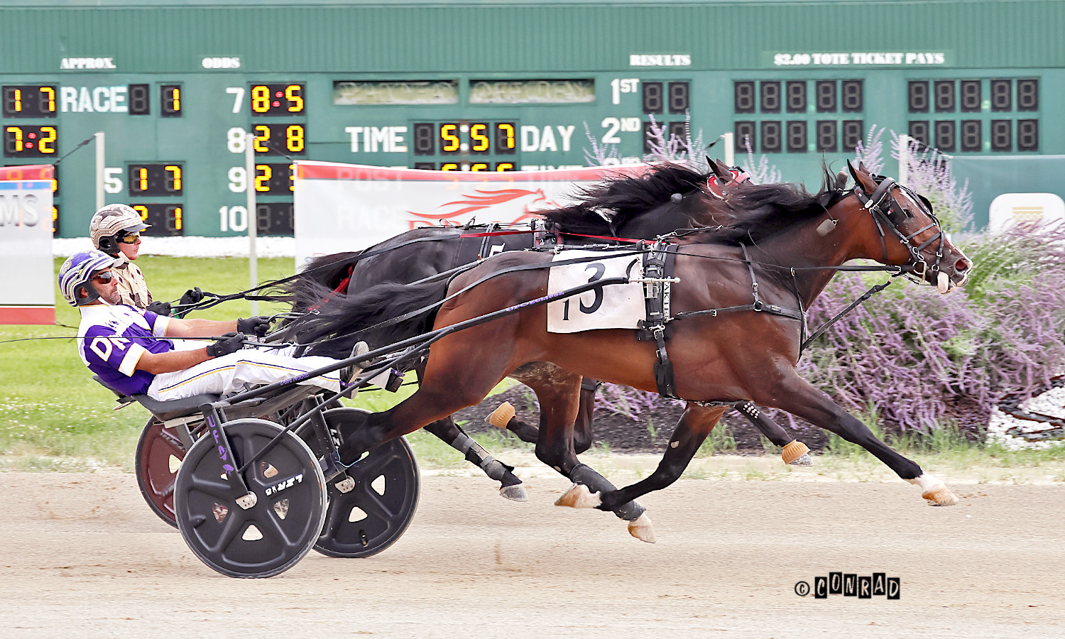 Freshman trotters on display Saturday at Scioto – U.S. Trotting News