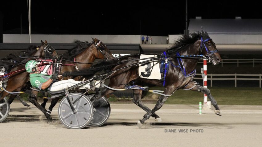 Hunka Hunka leads second-time BSS winners at Urbana – U.S. Trotting News