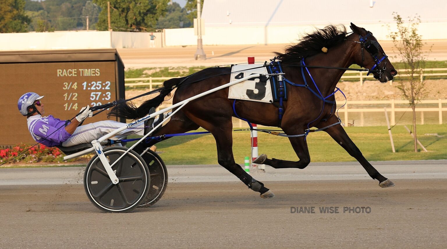 Sophomore trotters shine at Northfield – U.S. Trotting News