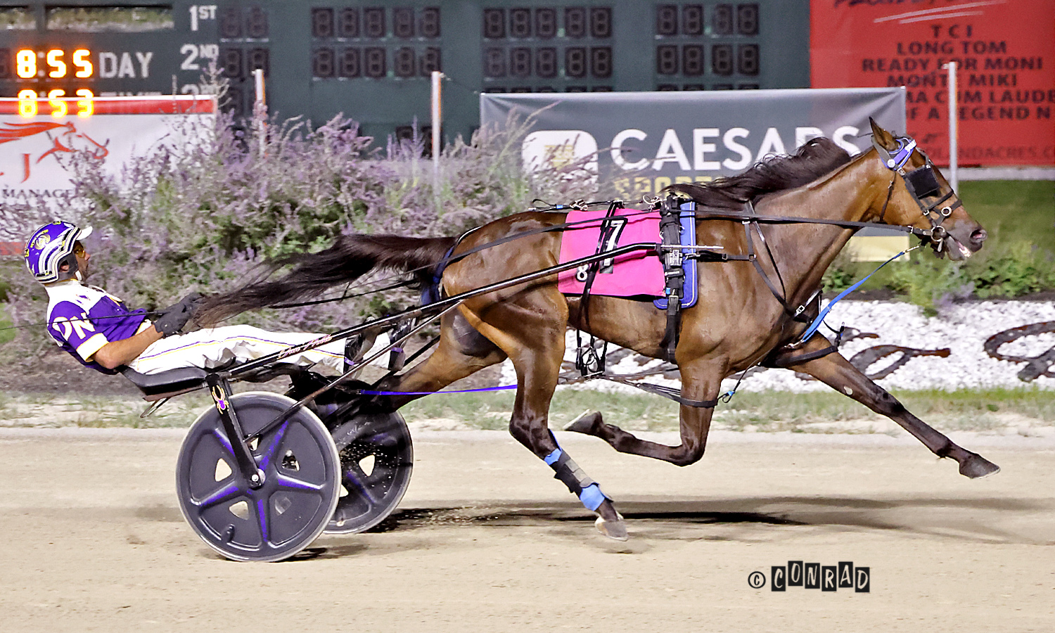 Ready Russell looks to go 5-for-5 in OSS as freshman trotters head to ...