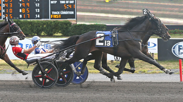 Spotlight shines on Apex at The Red Mile – U.S. Trotting News